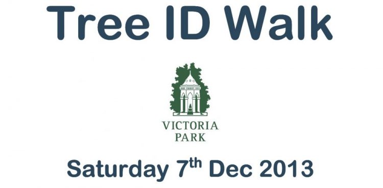 Winter Tree Id Walk Poster1 Our Bow