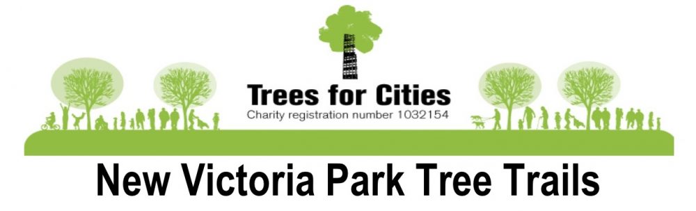 Trees for Cities – featured2 – Our Bow
