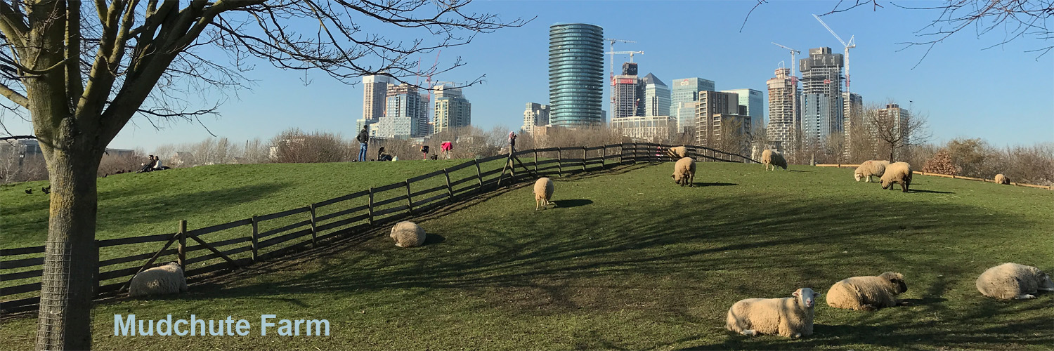 Mudchute Farm – Our Bow