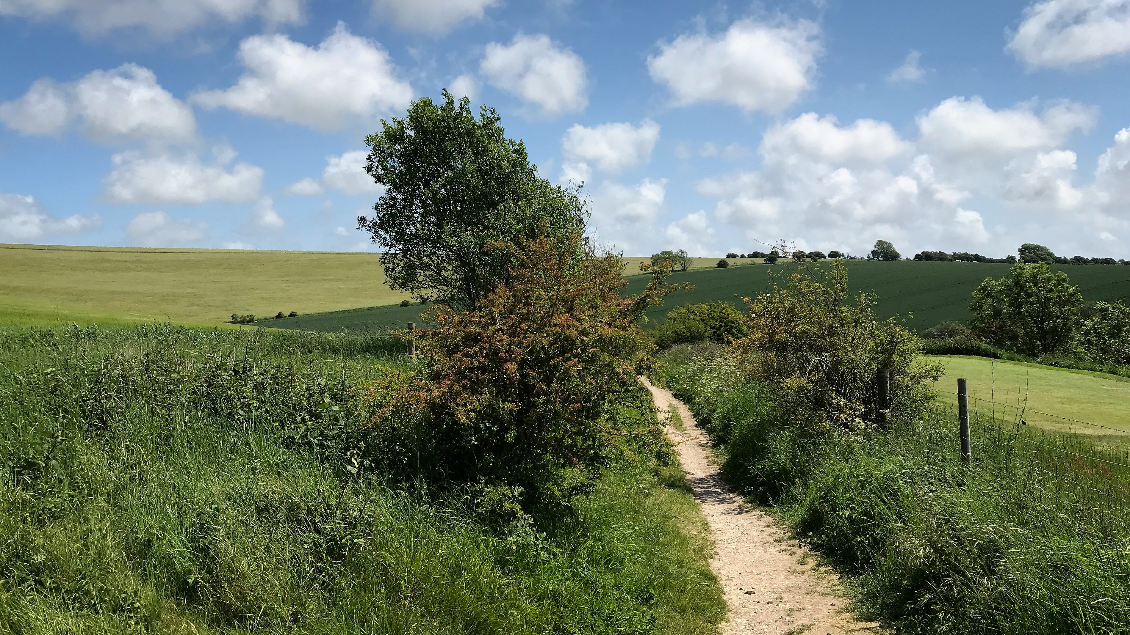 Take a Daytrip from London – the South Downs – Our Bow