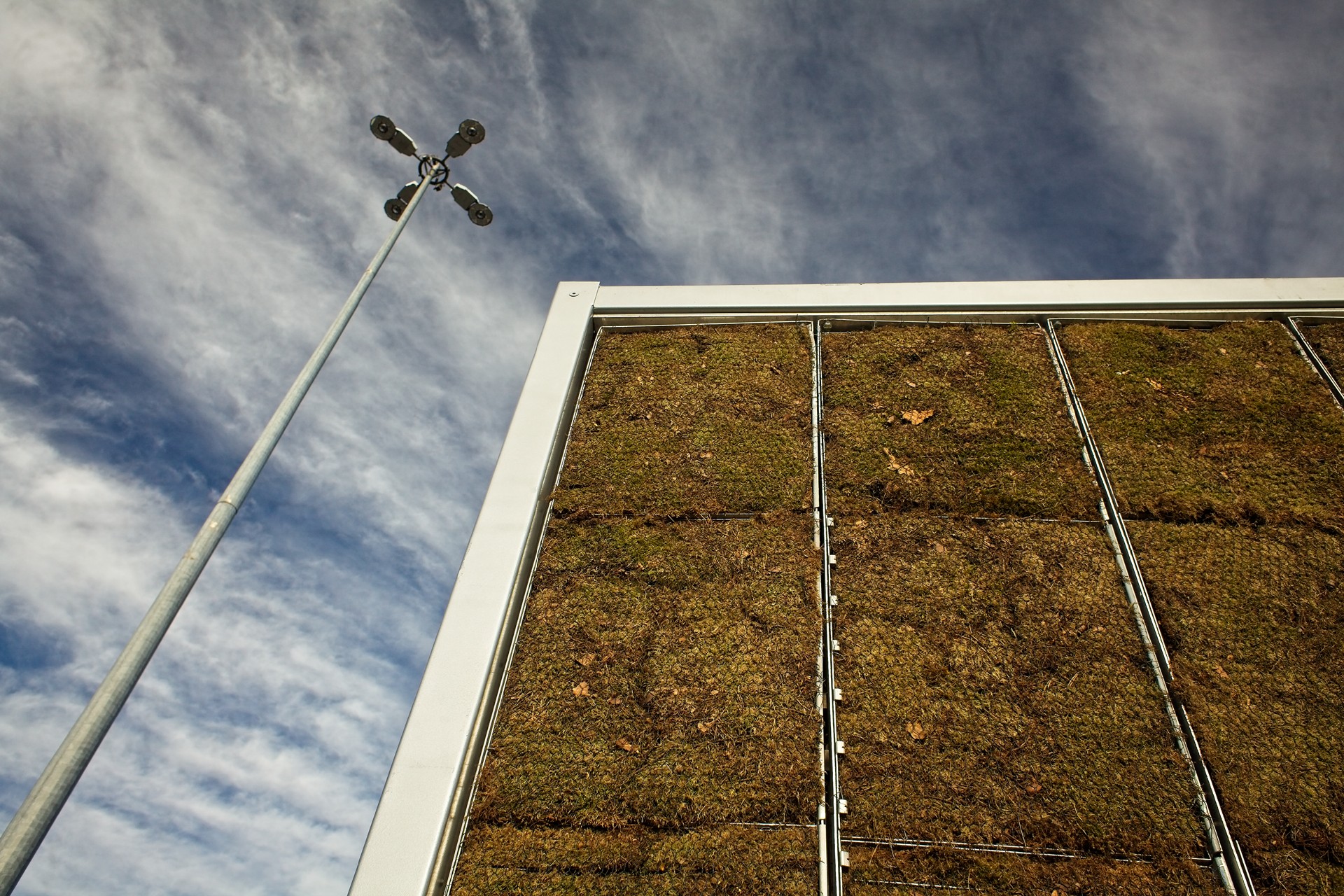 Moss-filled City Trees eat pollution – Our Bow