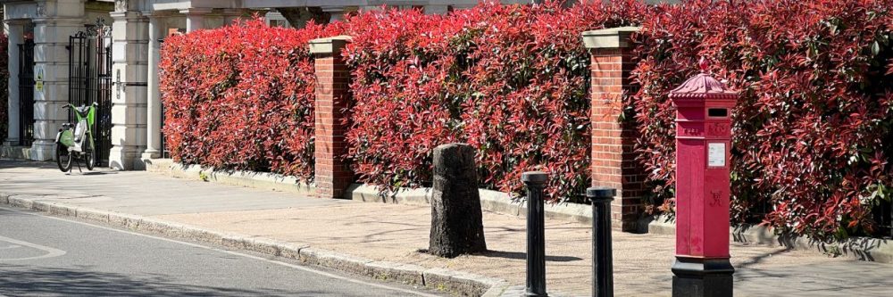 Roman Road Team talks to Harry da Costa – Our Bow